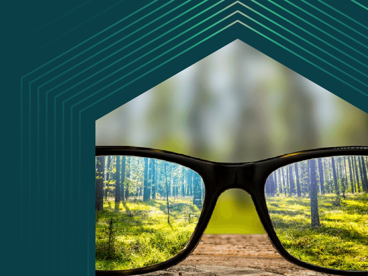 Supply Chain Visibility and Negative Impact On Your Business Without It