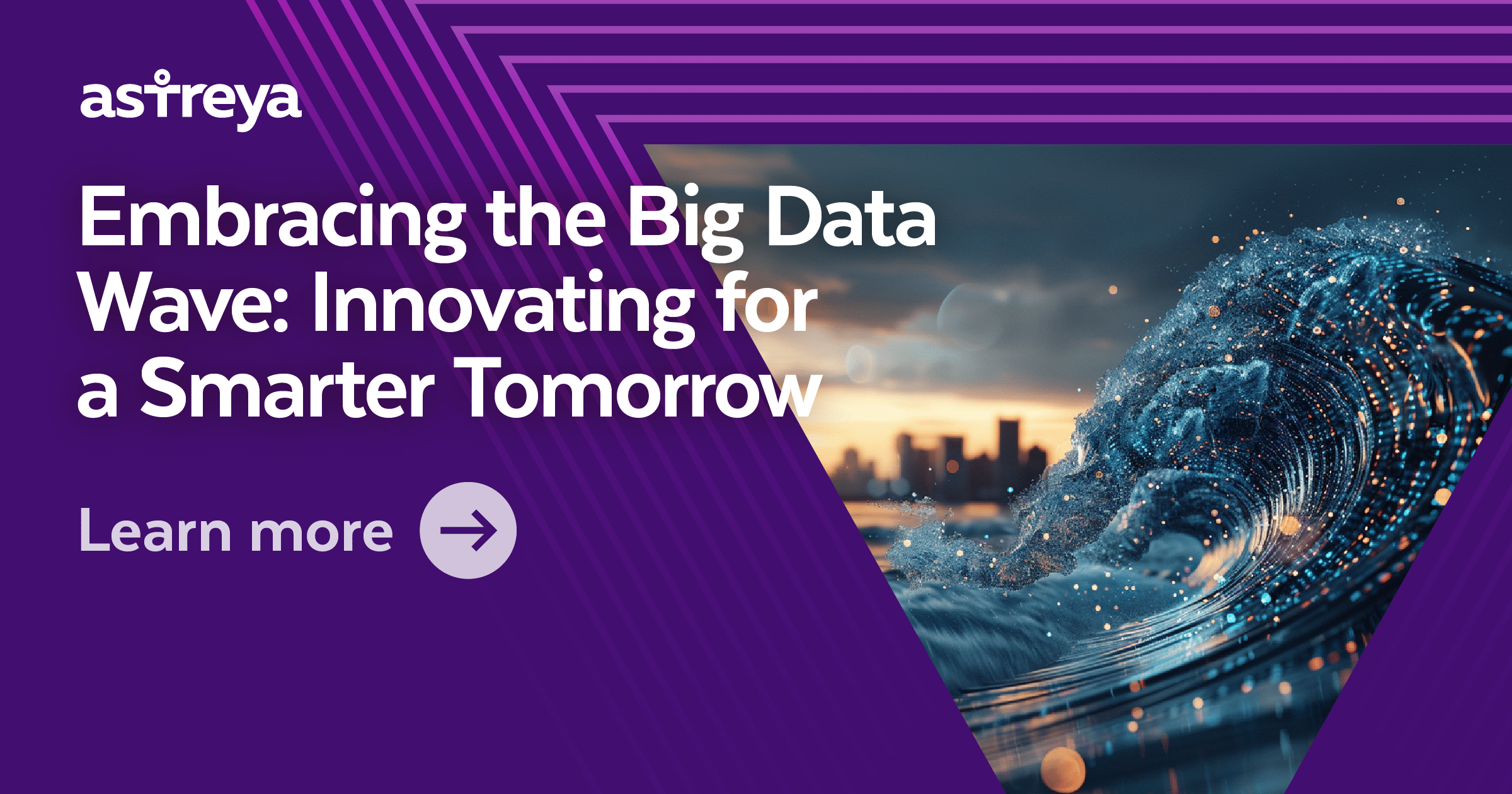 Embracing the Big Data Revolution: Unleashing Innovation and Efficiency ...